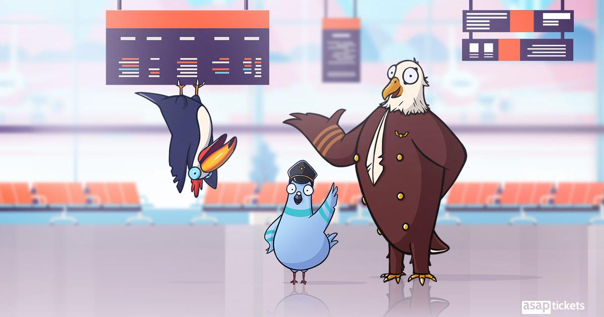 Meet ASAP Tickets' Brand New Mascots! | ASAP Tickets Travel Blog