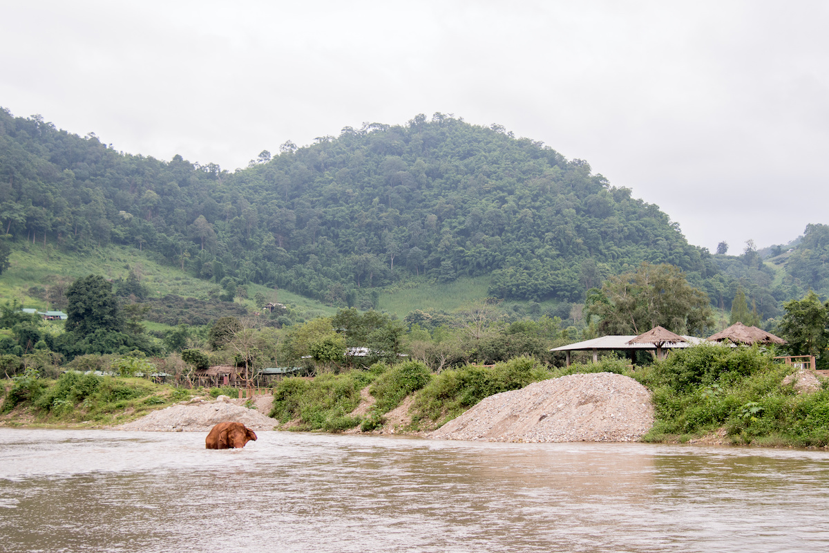 Cheap Flights to the Ivory Coast Made Easy: Where to Go, When to Book ...