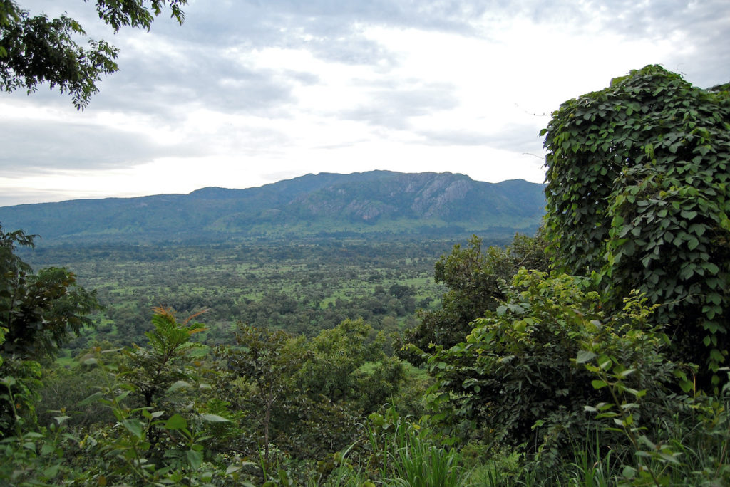 10 Fun Reasons Why You Should Visit Nigeria | ASAP Tickets Travel Blog